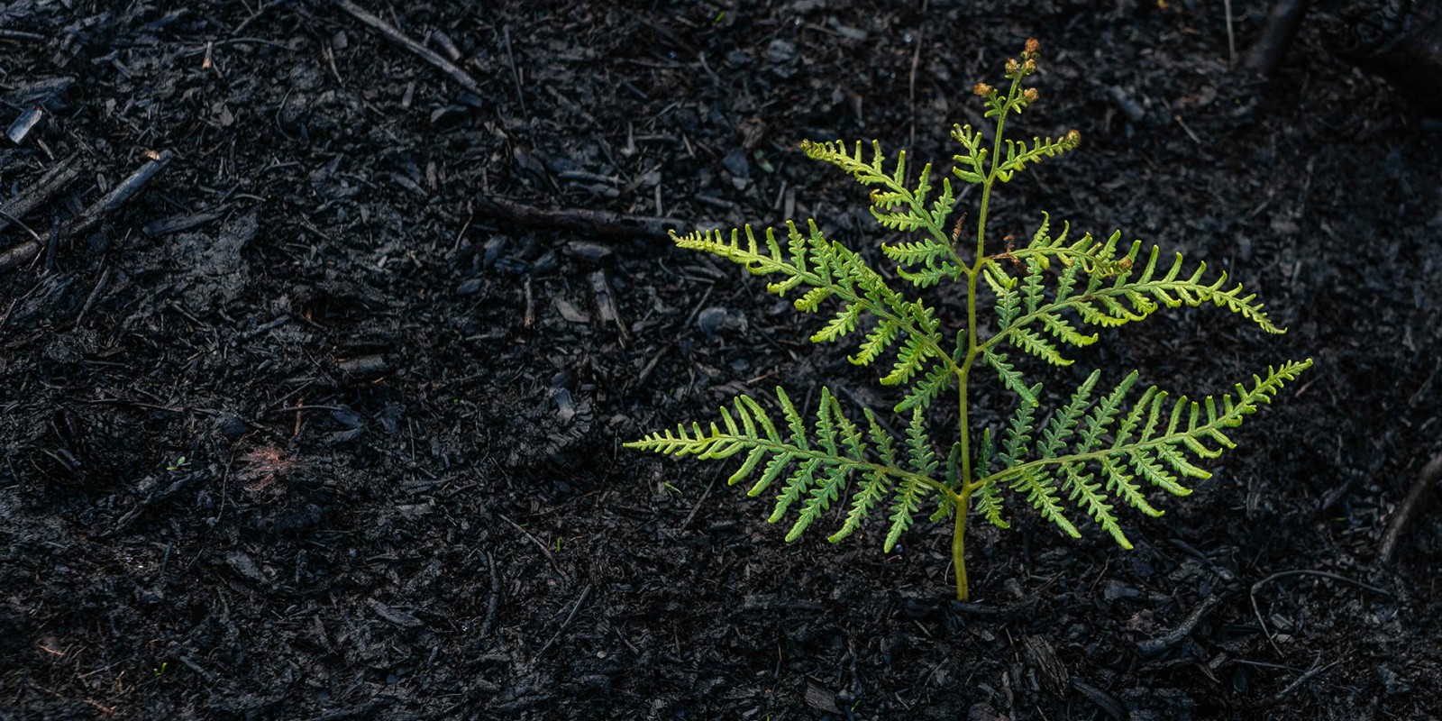 Recovery - Incite at Columbia University